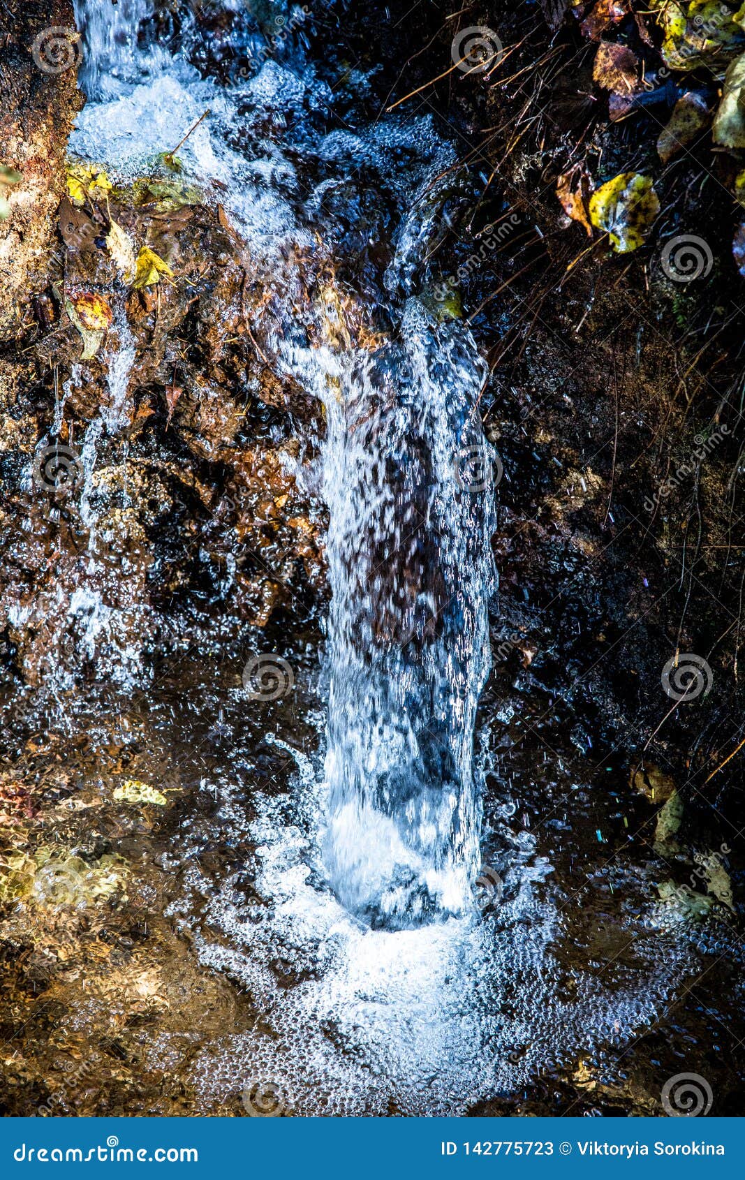 Ancient Waterfall in the Forest Stock Image - Image of water, thick ...