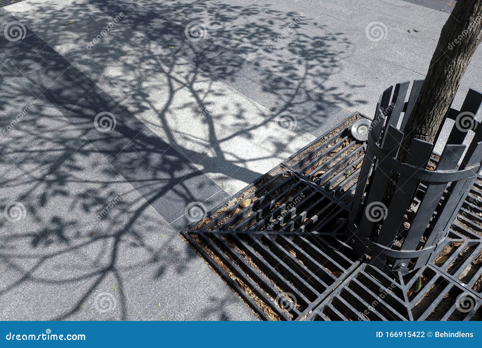 Very Attractive Shape of Tree Branch Shadow on Ground Stock Photo ...