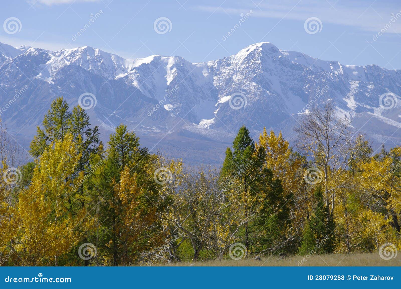 Very Beautiful Autumn Altay Mountains Stock Photo - Image of mountain ...