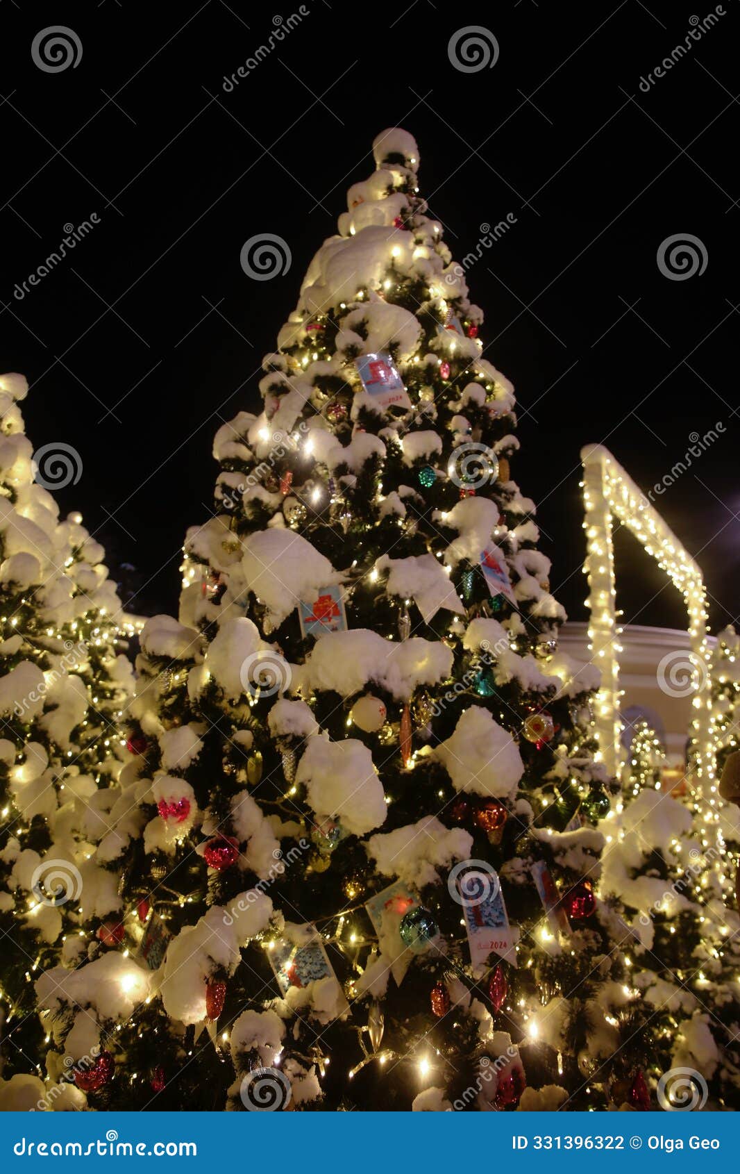 Very Beautiful Christmas Tree Market at Night Stock Photo - Image of ...