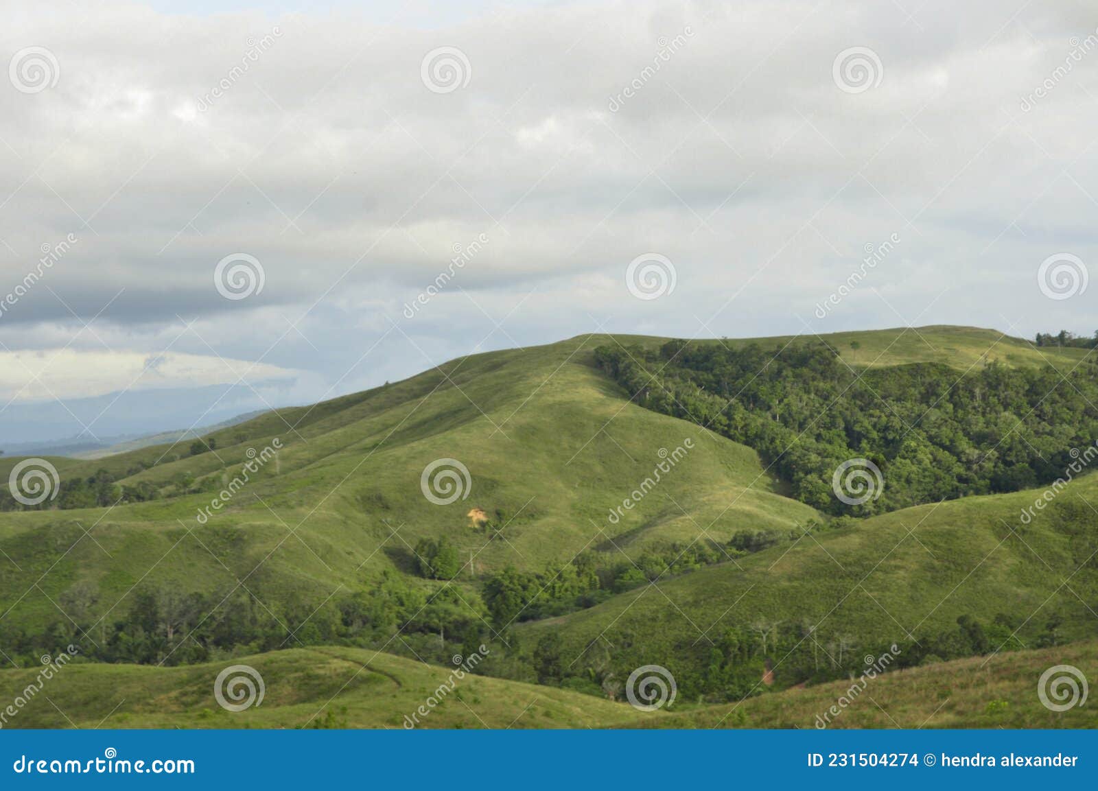 Very Beautiful Hill View with a Distinctive Green Color Stock Photo ...