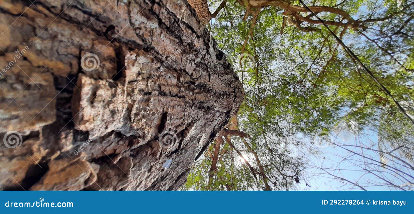 Interesting Wood Texture Royalty-Free Stock Photography | CartoonDealer ...