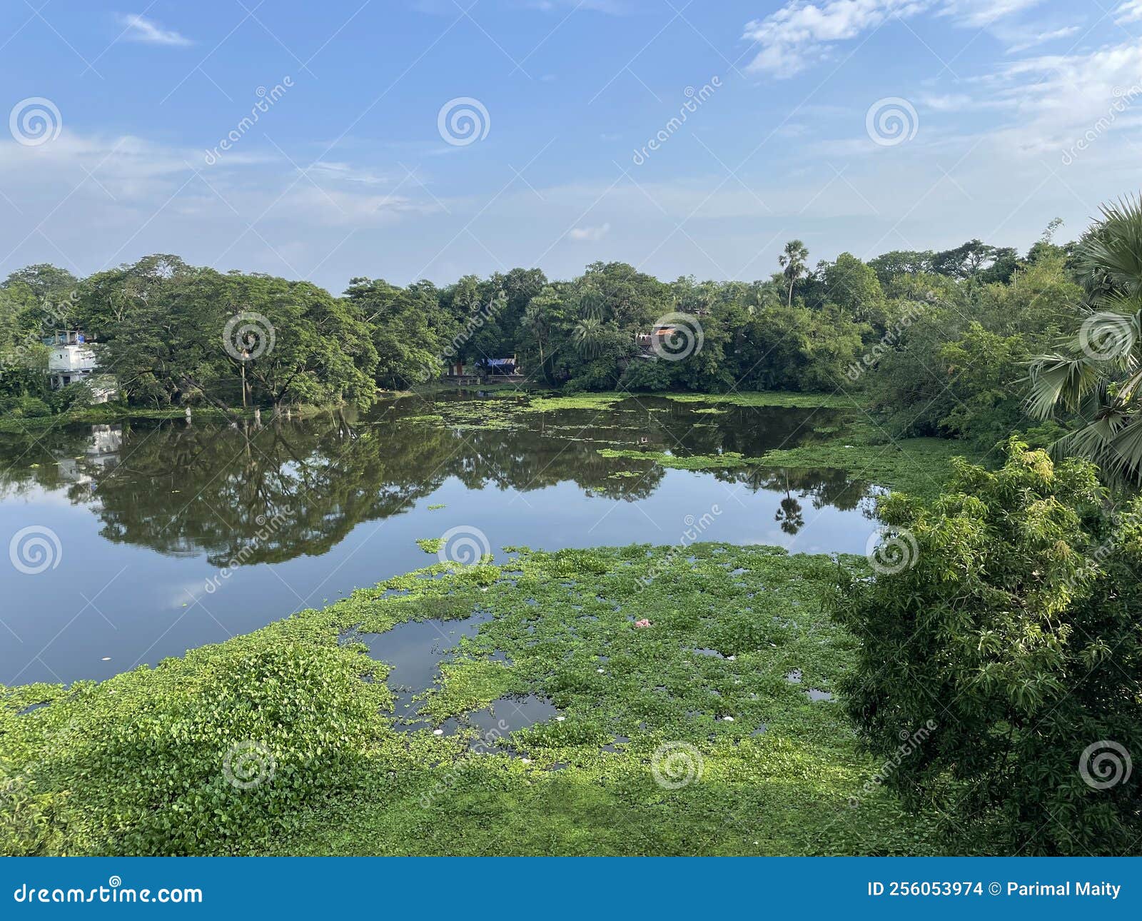 Lake and Environment stock photo. Image of environmen - 256053974