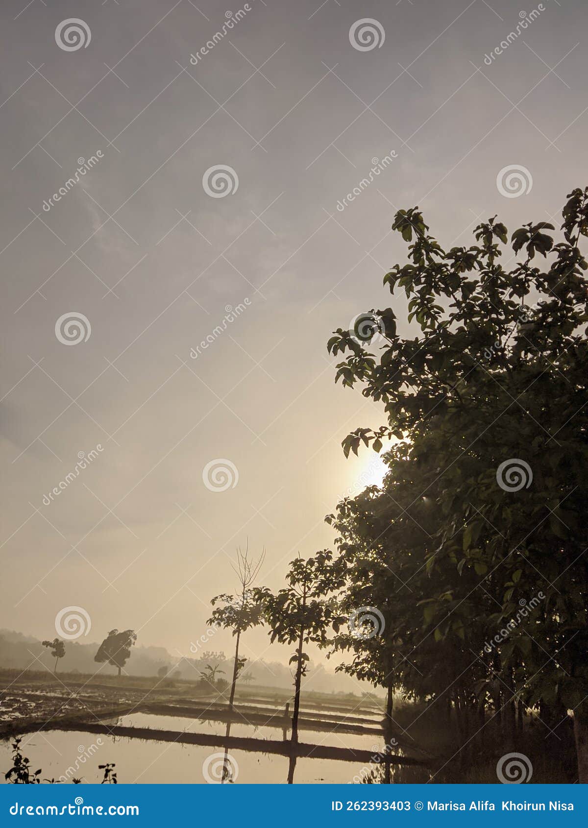 A Very Beautiful Morning in a Village Stock Image - Image of beautiful ...