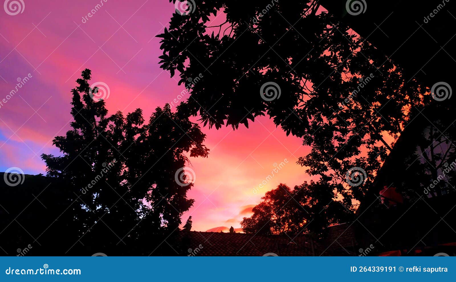Very Beautiful Orange Color Stock Image - Image of nature, color: 264339191