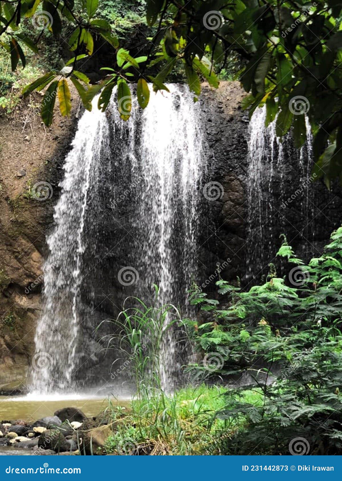 Very Beautiful and Pretty Waterfall in the Middle of the Forest from a ...