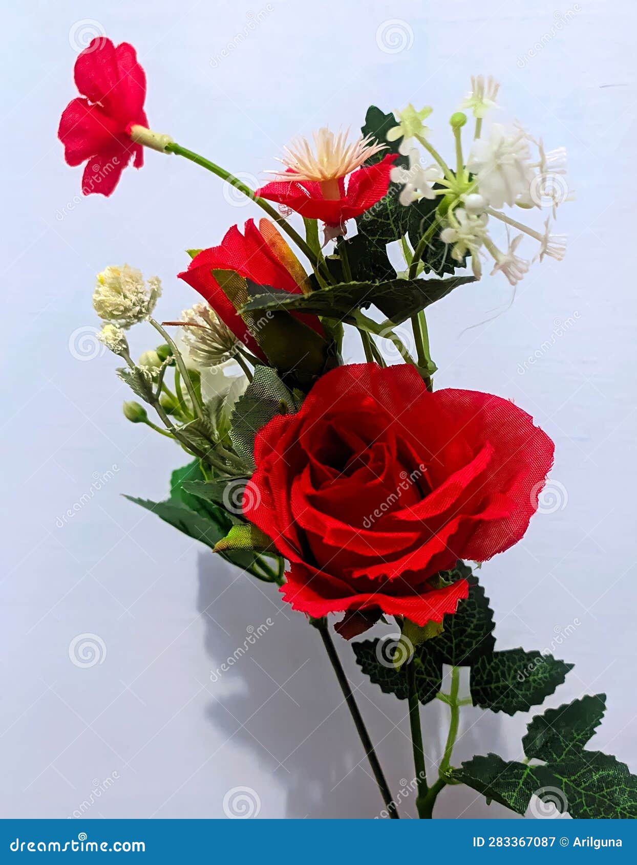 Very beautiful red roses stock image. Image of roses - 283367087