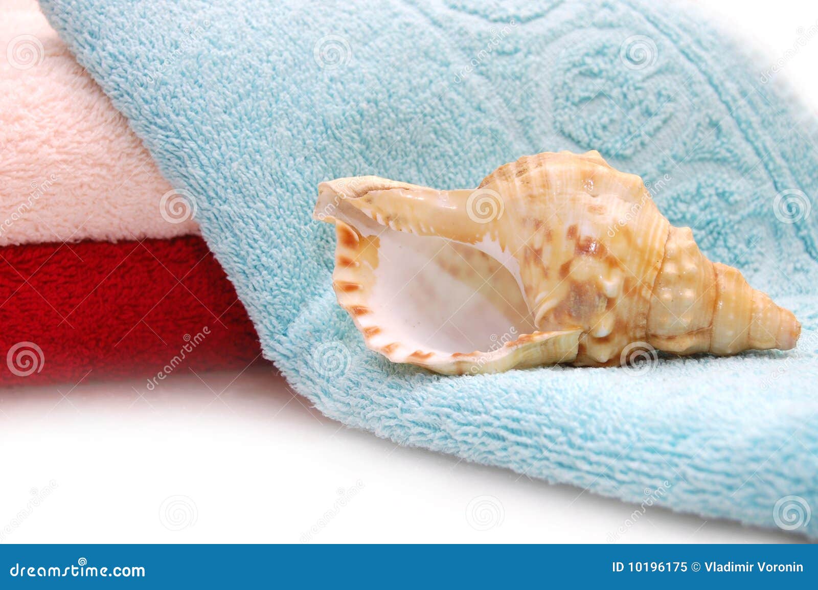 Very Beautiful Seashells on Towel Background Stock Image - Image of ...