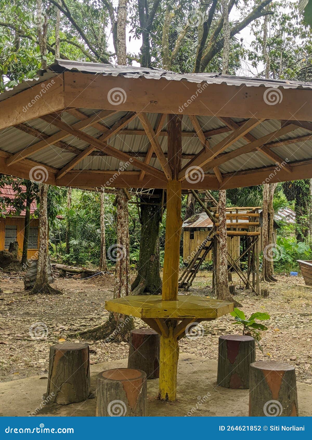 Very beautiful seat stock photo. Image of tree, beautiful - 264621852