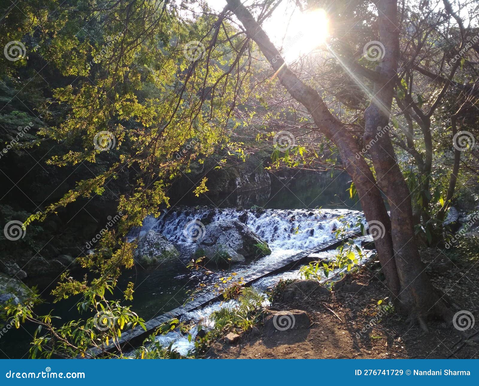 Very Beautiful Small Lake and Tree Shining Stock Image - Image of small ...