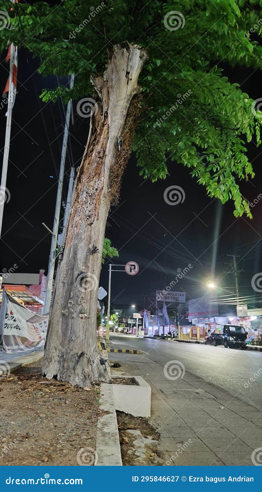 Very Beautiful Street Trees at Night Stock Image - Image of beautiful ...