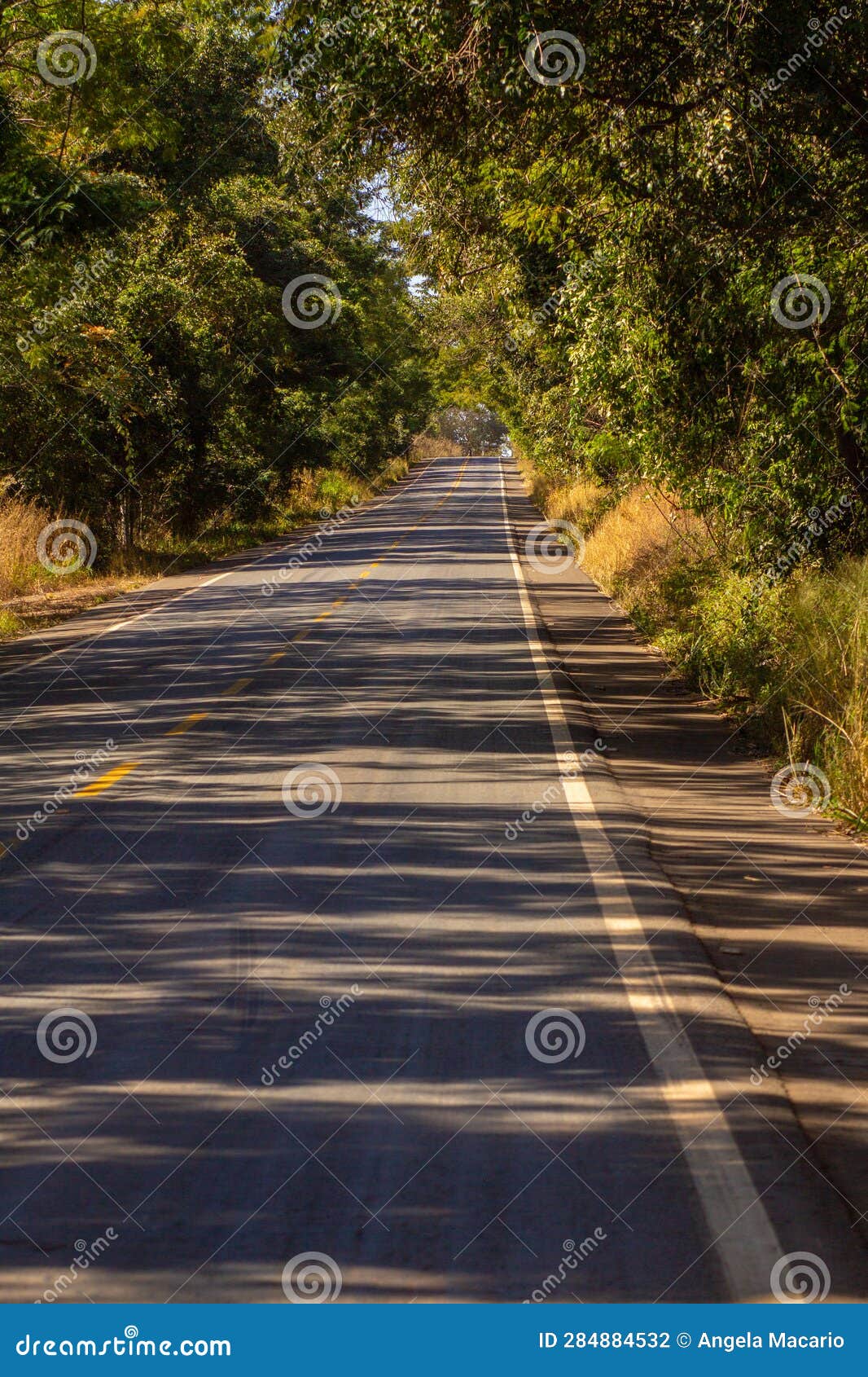 BR-352 Highway in the State of Goias. Stock Photo - Image of ...