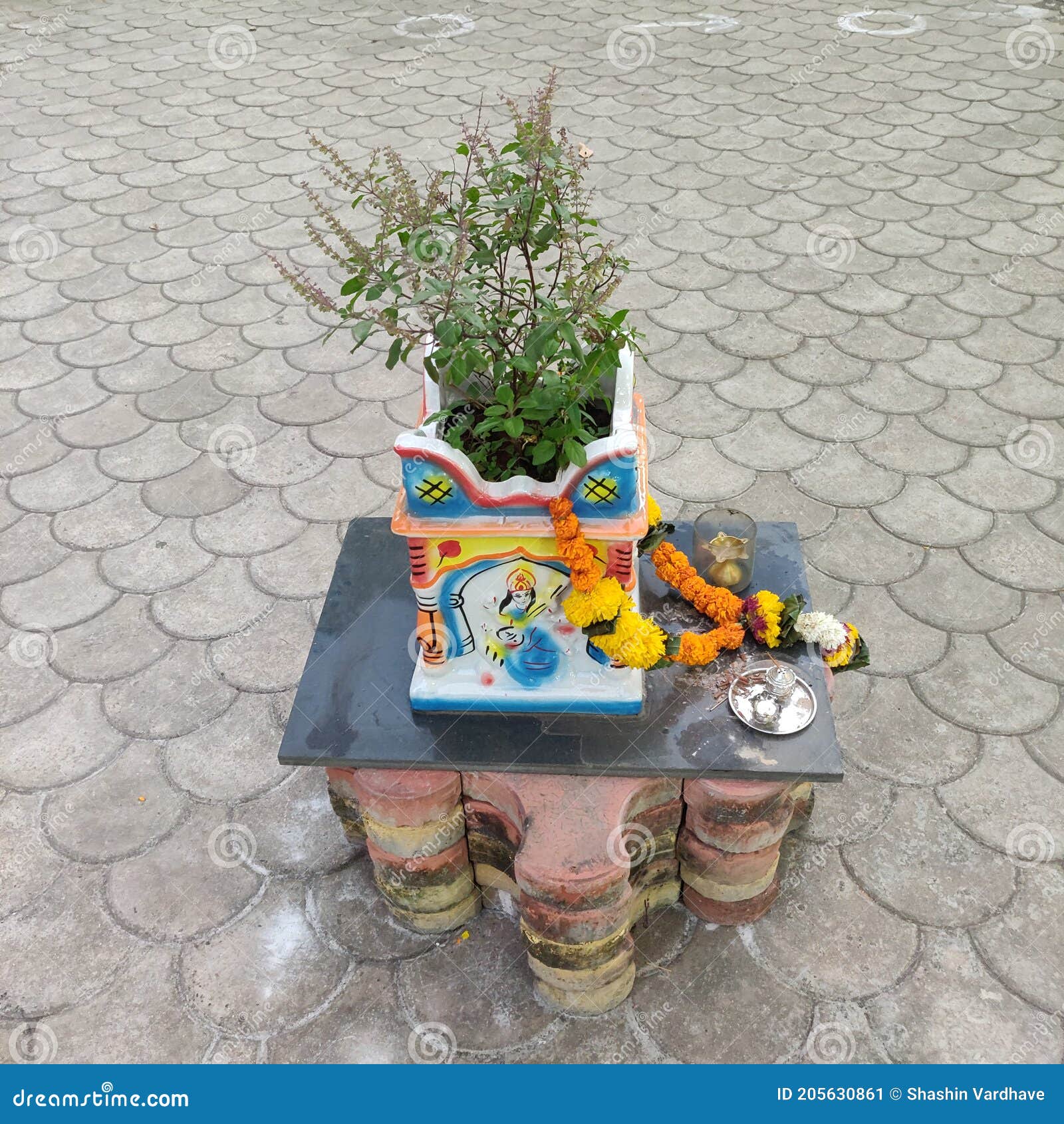 Very Beautiful Tulsi Vrindavan Standing in the Yard Stock Image - Image ...