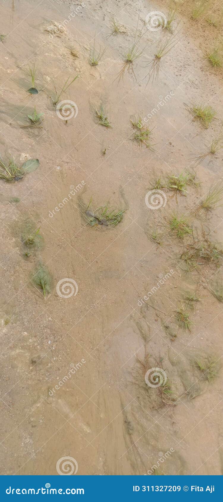 Very Beautiful and Unique Mud Stock Image - Image of unique, aesthetic ...