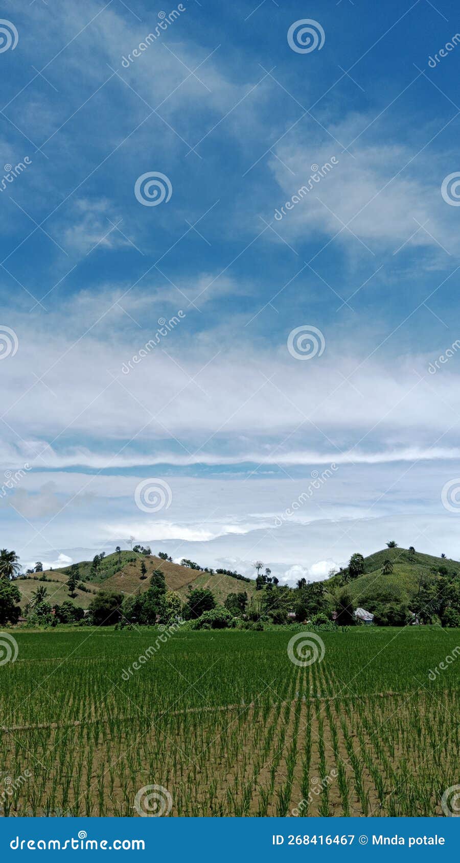 Very Beautiful View Behind the House Stock Image - Image of view ...