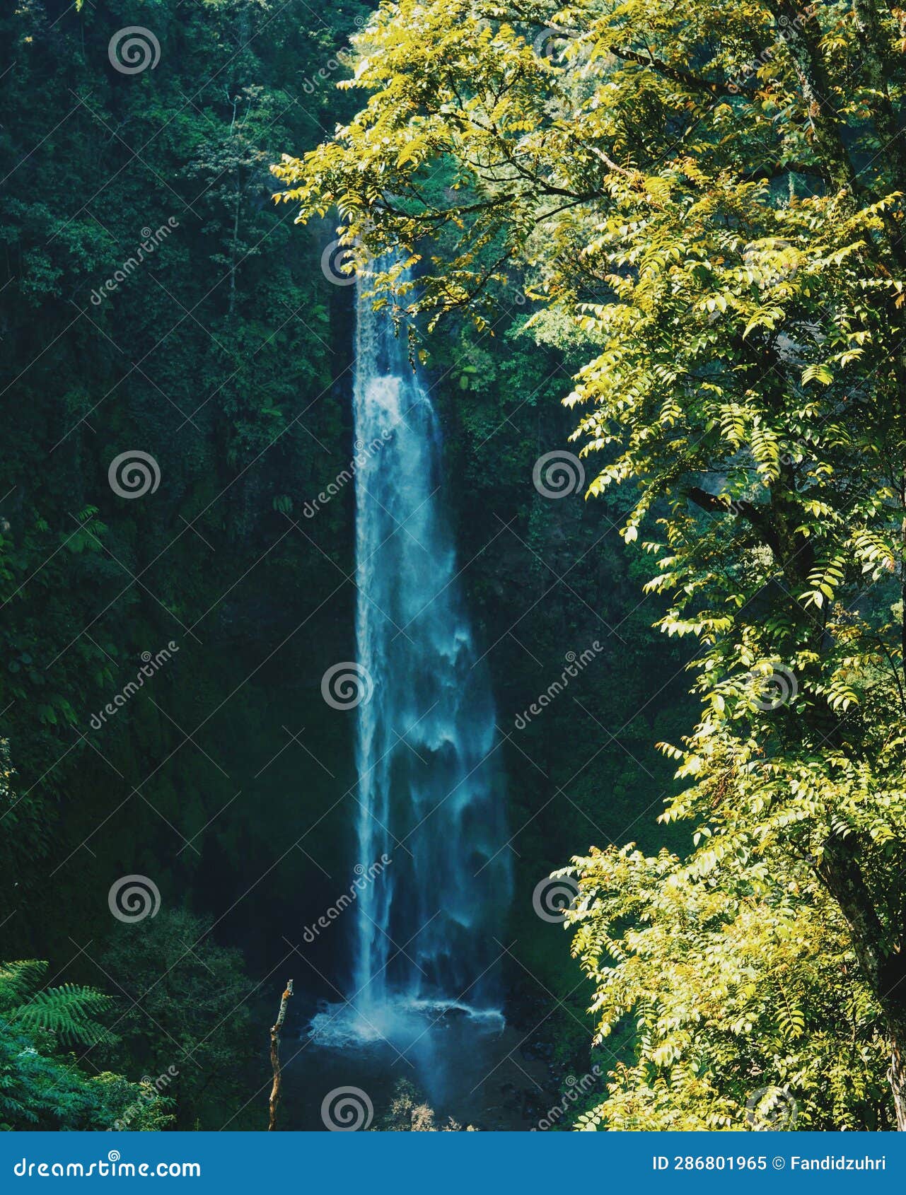 Very Beautiful Waterfall Behind the Leaves and Trees Stock Image ...