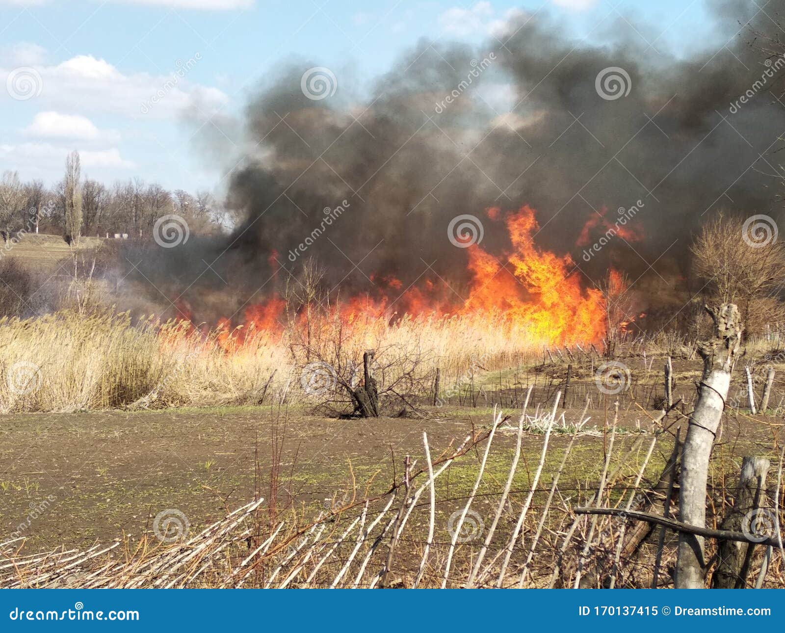 Very big fire stock image. Image of wonderful, phenomenon - 170137415