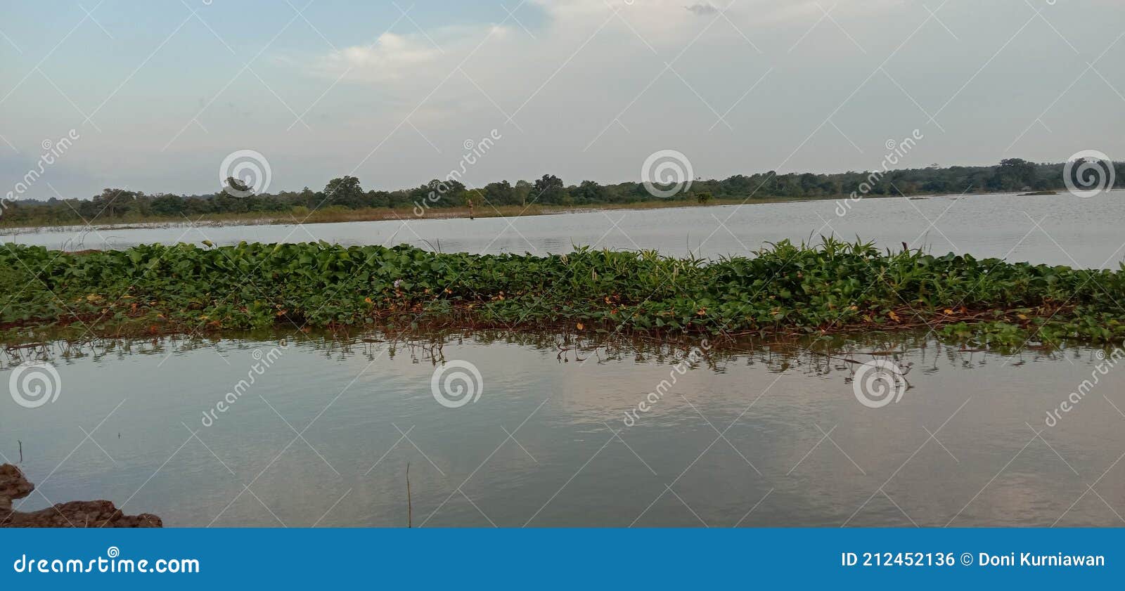 Very Big Flood in the Rainy Season Stock Photo - Image of season, rainy ...