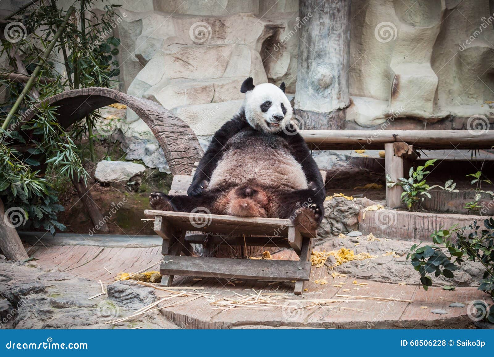 Very big panda stock photo. Image of tropical, show, thailand - 60506228