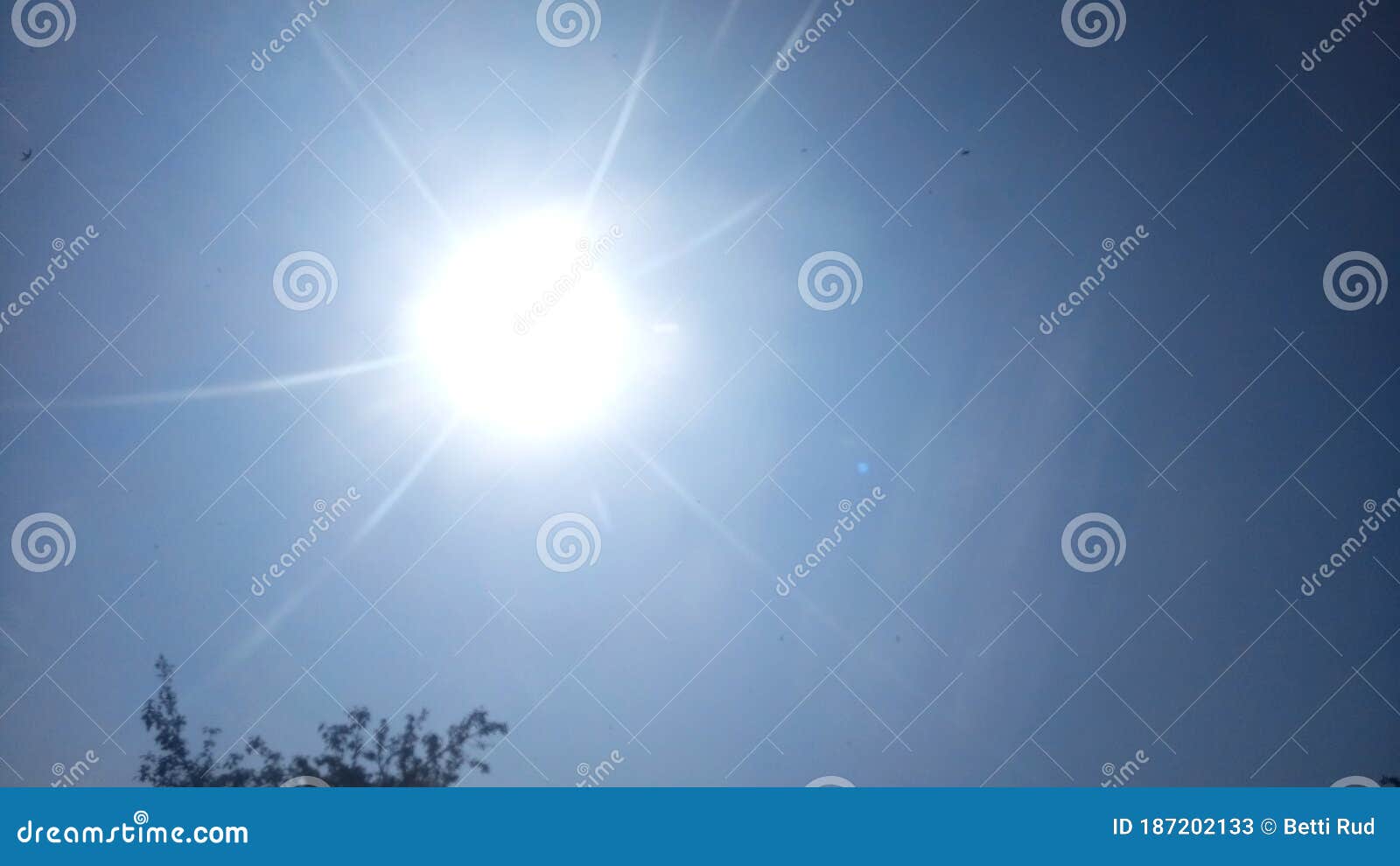 Very bright sun stock image. Image of nature, bright - 187202133