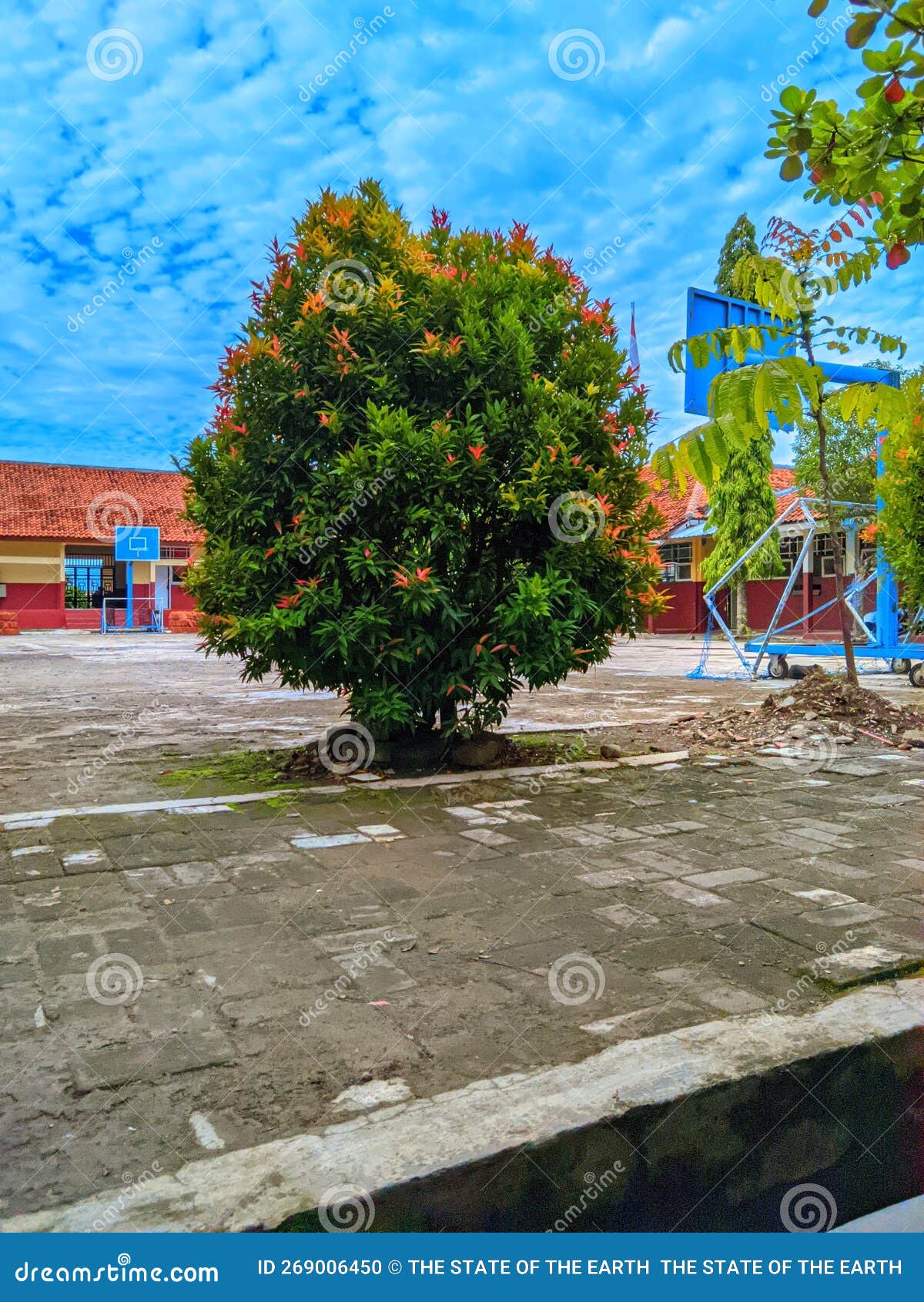 A Very Old Tree Root In A Narrow Canyon On Kasha-Katuwe/Tent Rocks ...
