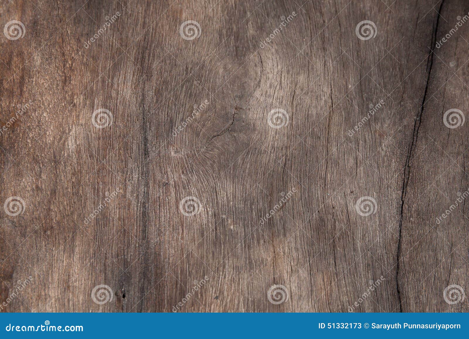 Very Clean and Smooth Texture of Tree Stock Image - Image of plank ...