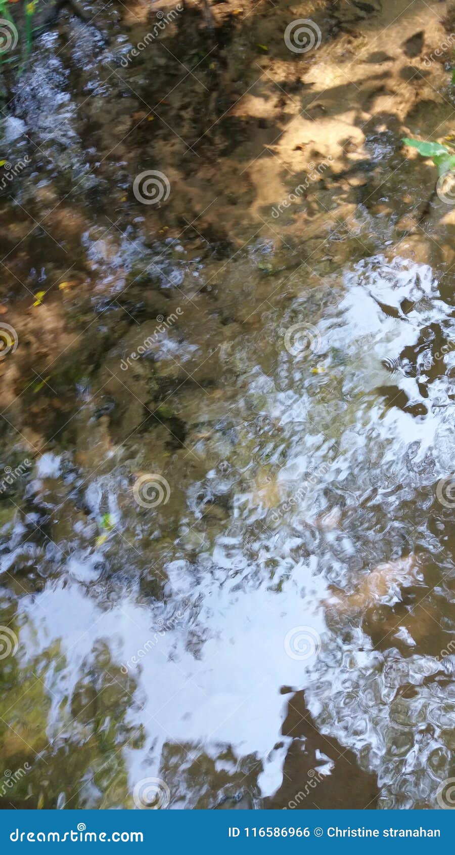 Water stock photo. Image of water, stream, clean, clear - 116586966