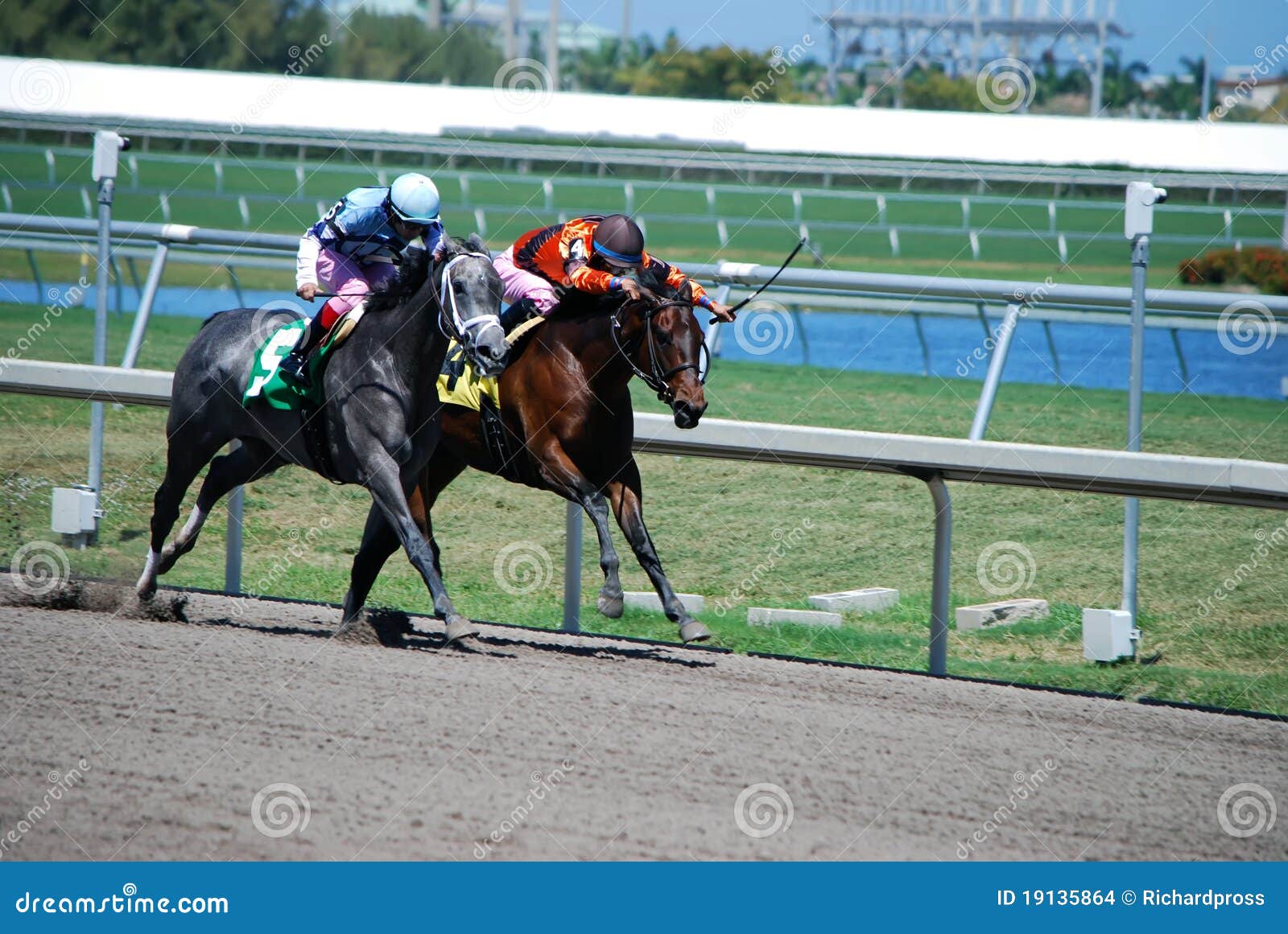 A Very Close Race editorial stock image. Image of fillies - 19135864