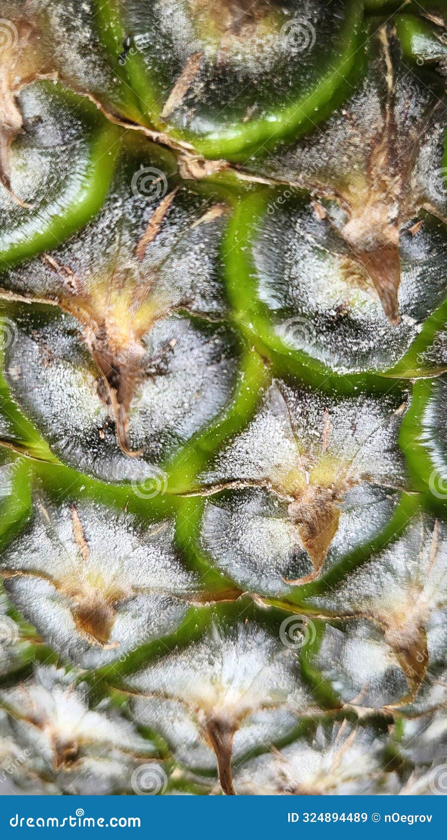 Very Close Surface Detail of Pineapple Fruit Peel Stock Image - Image ...