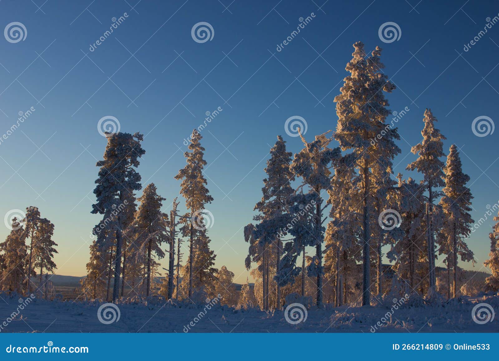 Very Cold Day in Levi, Finnish Lapland Stock Image - Image of season ...
