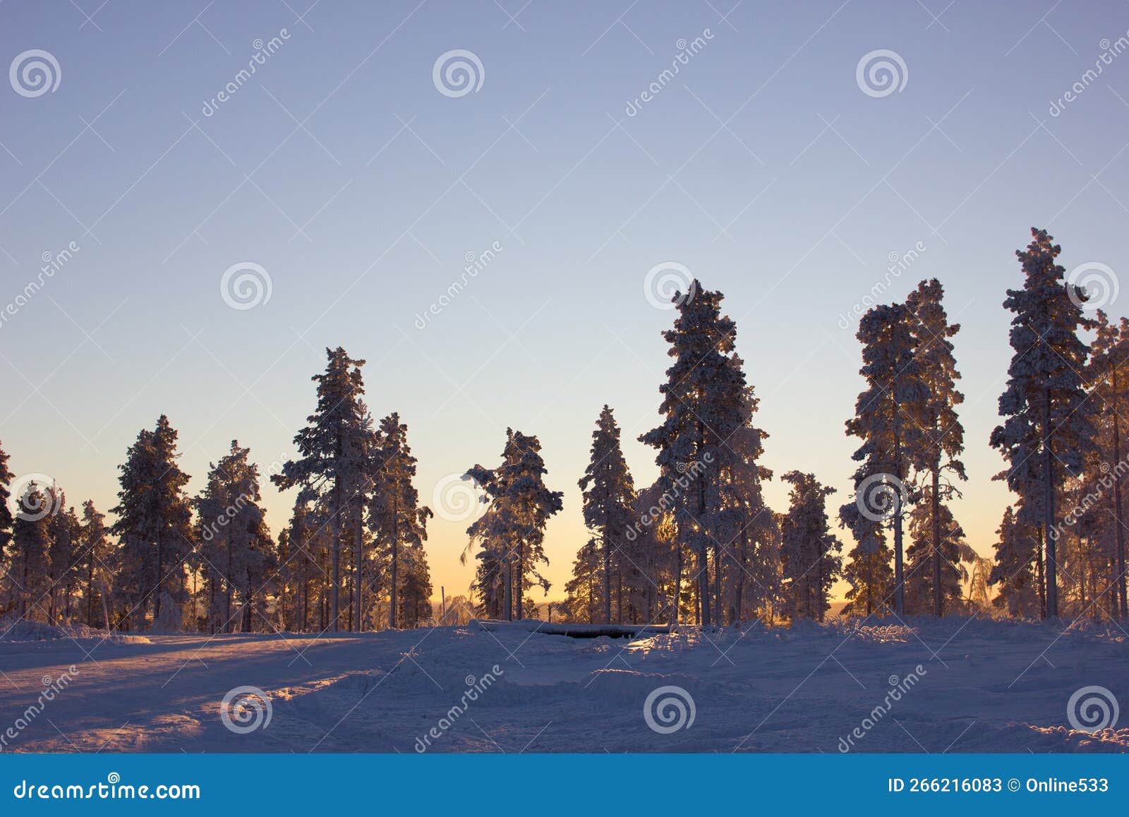 Very Cold Day in Levi in Finnish Lapland Stock Image - Image of tree ...