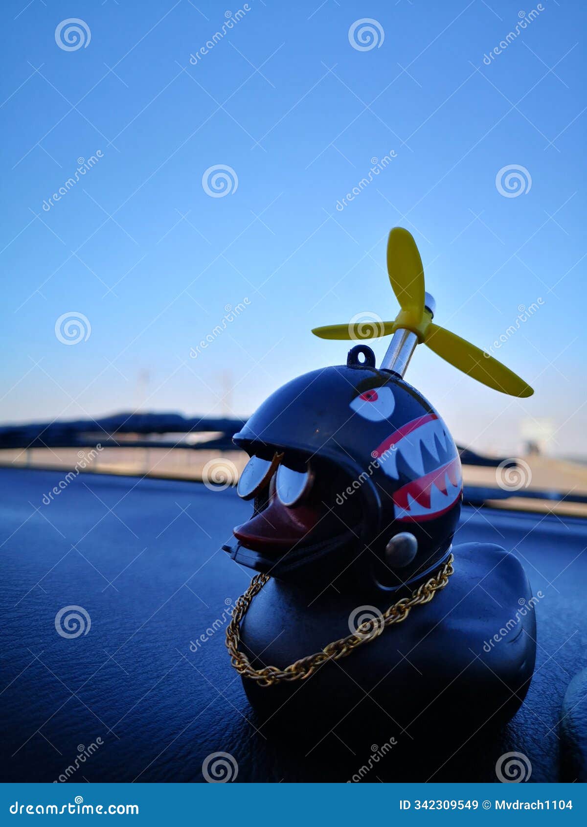 Very Cool Duck with a Helmet Stock Image - Image of duck, skay: 342309549