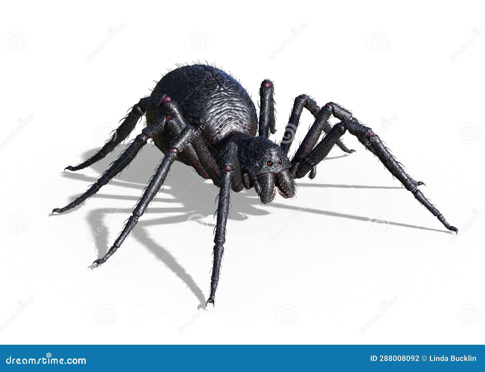 Big Black Spider stock illustration. Illustration of creepy - 288008092
