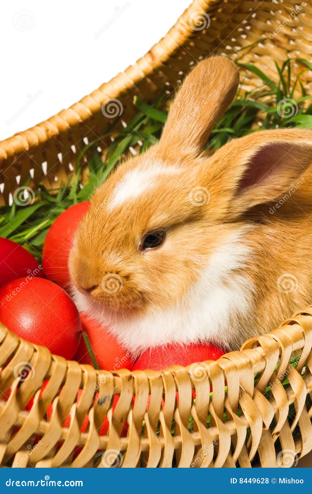 Very Cute Easter Bunny Royalty Free Stock Photos - Image: 8449628