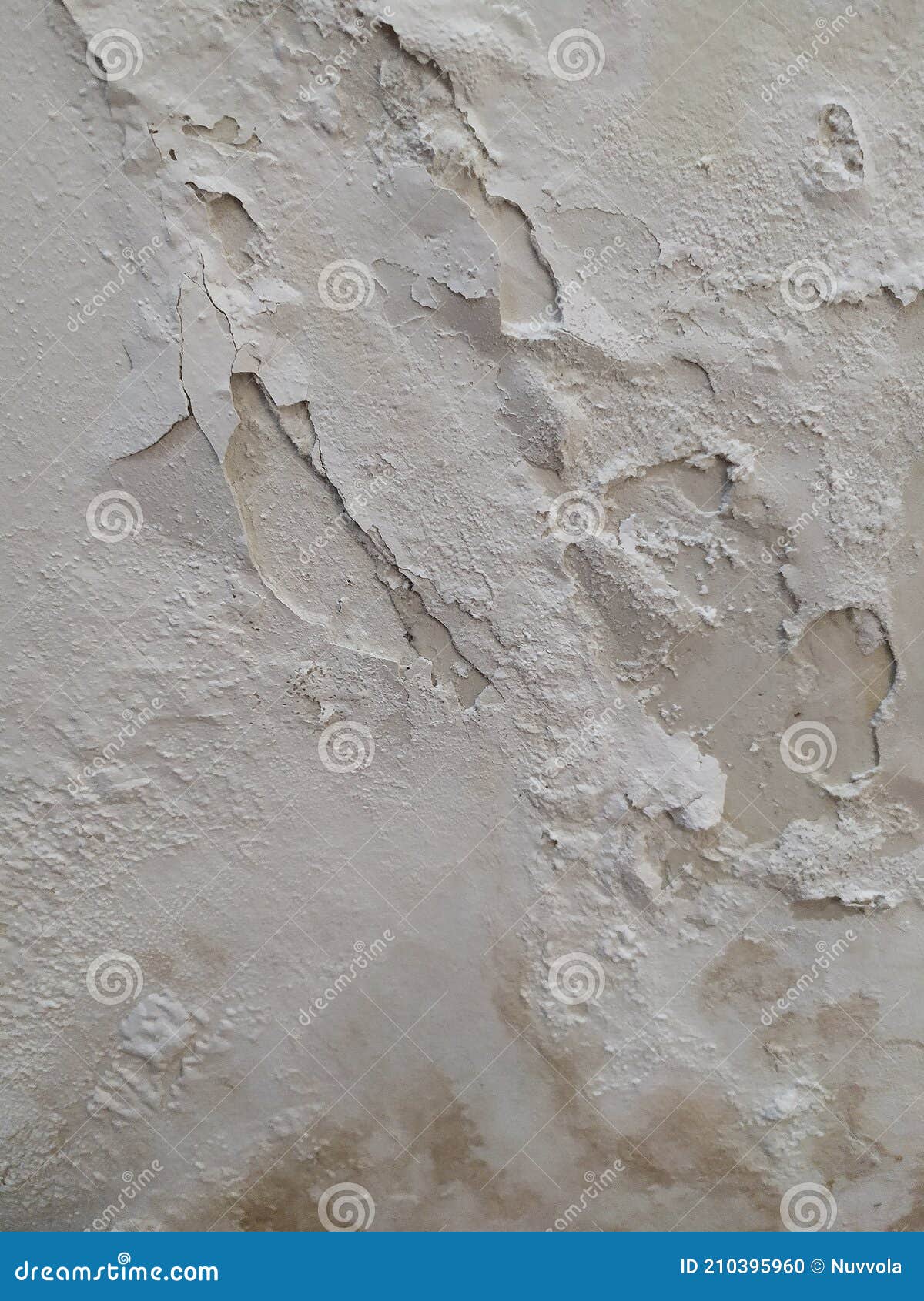 Very Damaged White Wall Detail, with Mold and Cracks Stock Photo ...