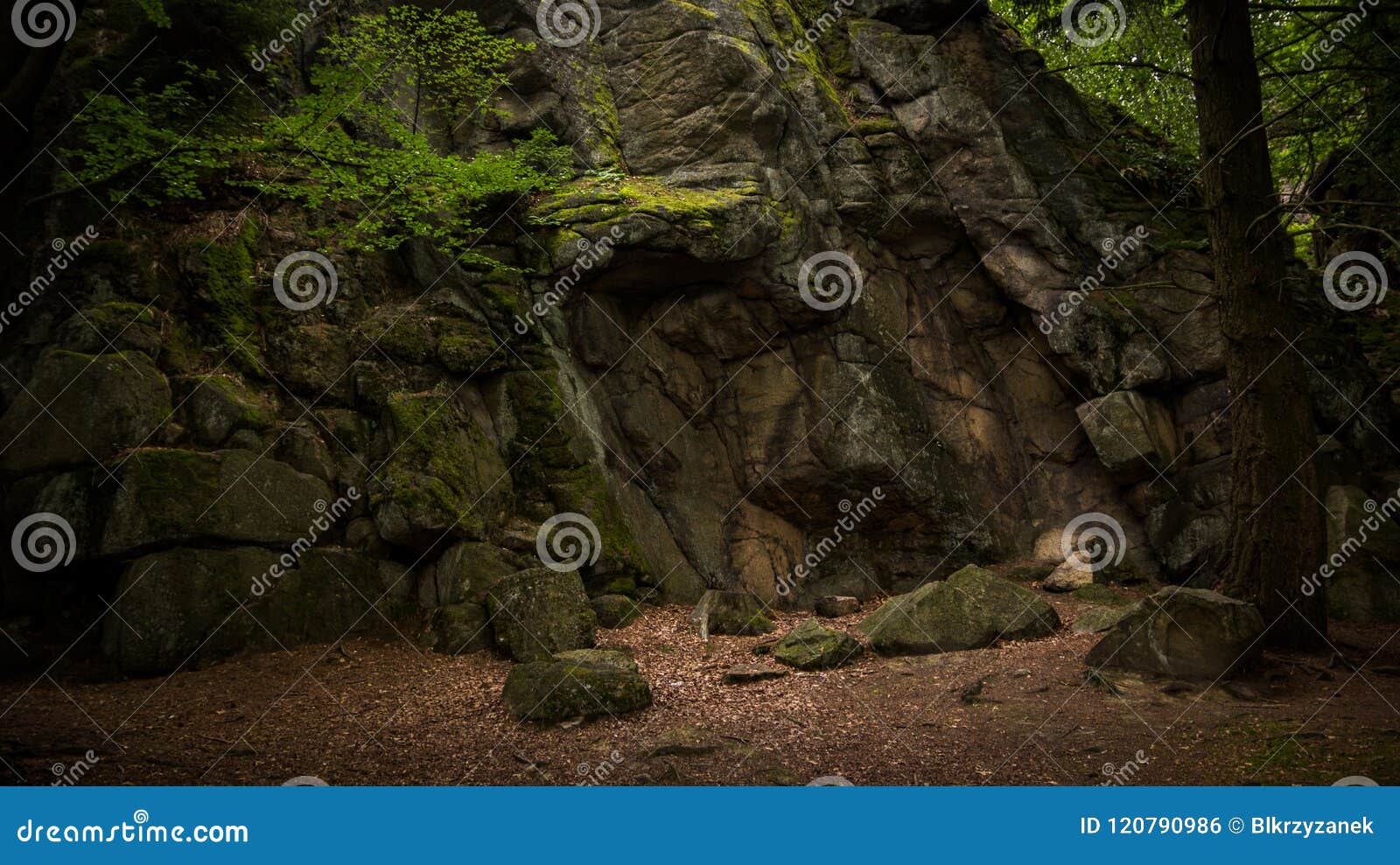 A Damp Rock Covered with Moss. Stock Photo - Image of moss, boulders ...