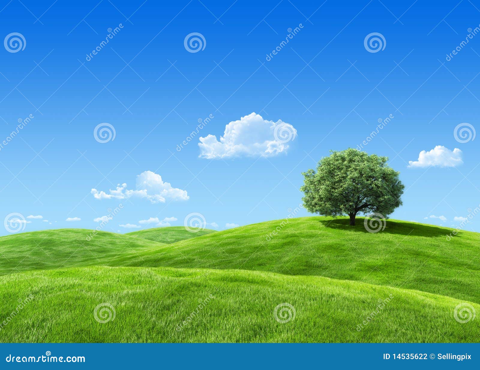 Very Detailed 7000px Tree on Lea Template Stock Illustration ...