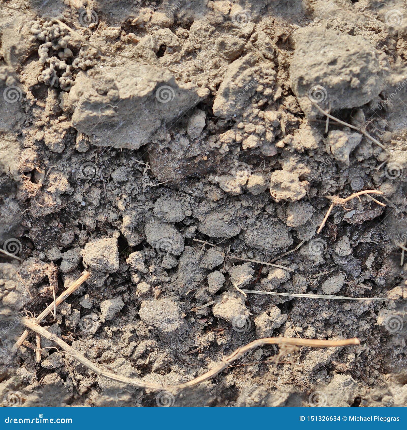 Very Detailed Seamless Texture Pattern of Acre Ground and Dirt in High ...