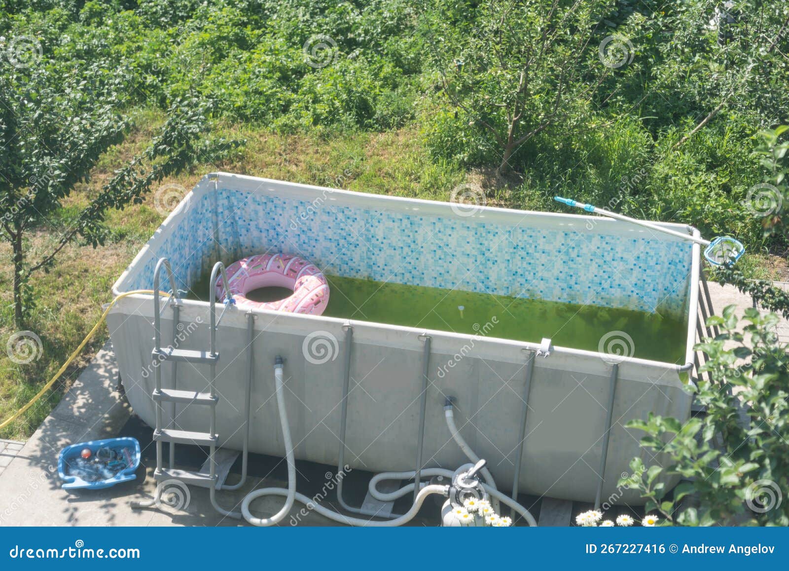 A Very Dirty Pool in the Garden Stock Photo - Image of germs, bathing ...