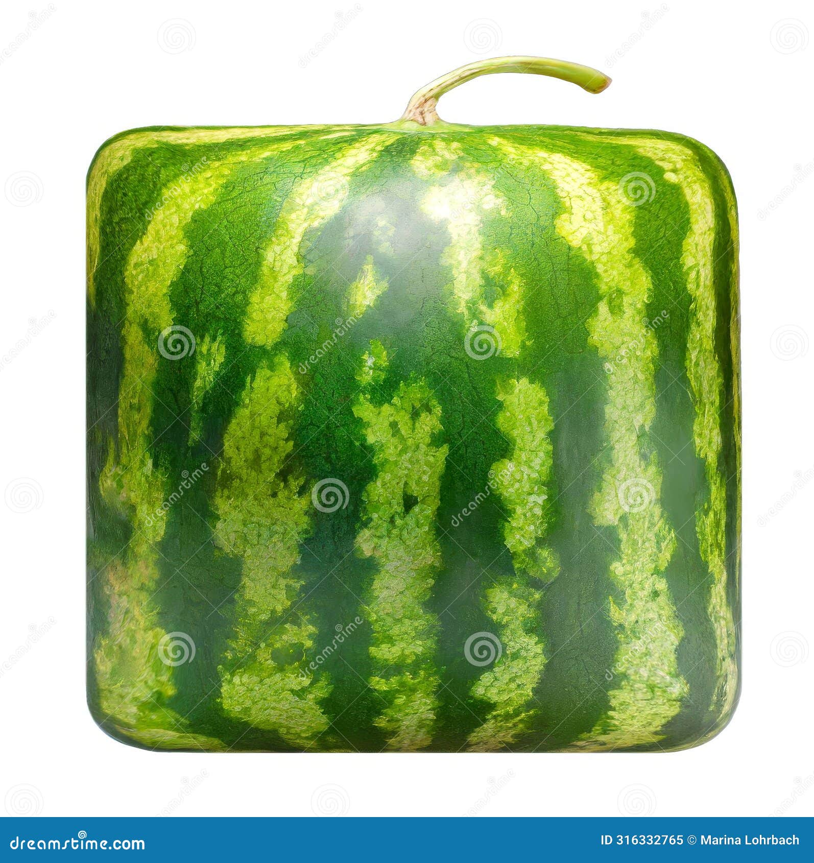 Space-saving Cube-shaped Watermelon from Japan Stock Illustration - Illustration of mutation ...