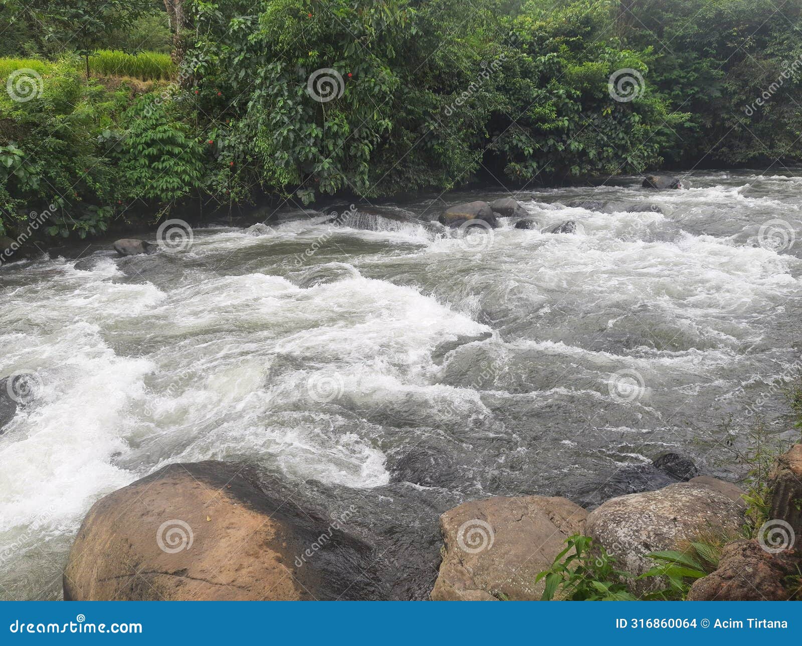 Very fast river flow stock photo. Image of river, beautiful - 316860064