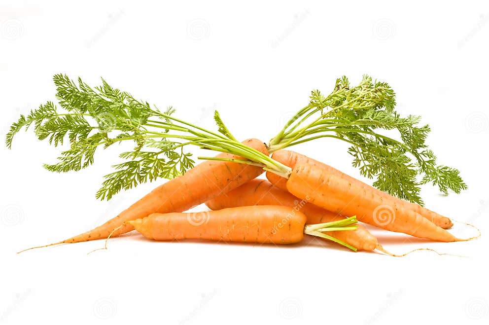 Very fresh carrots stock photo. Image of food, vegetarian - 14457472