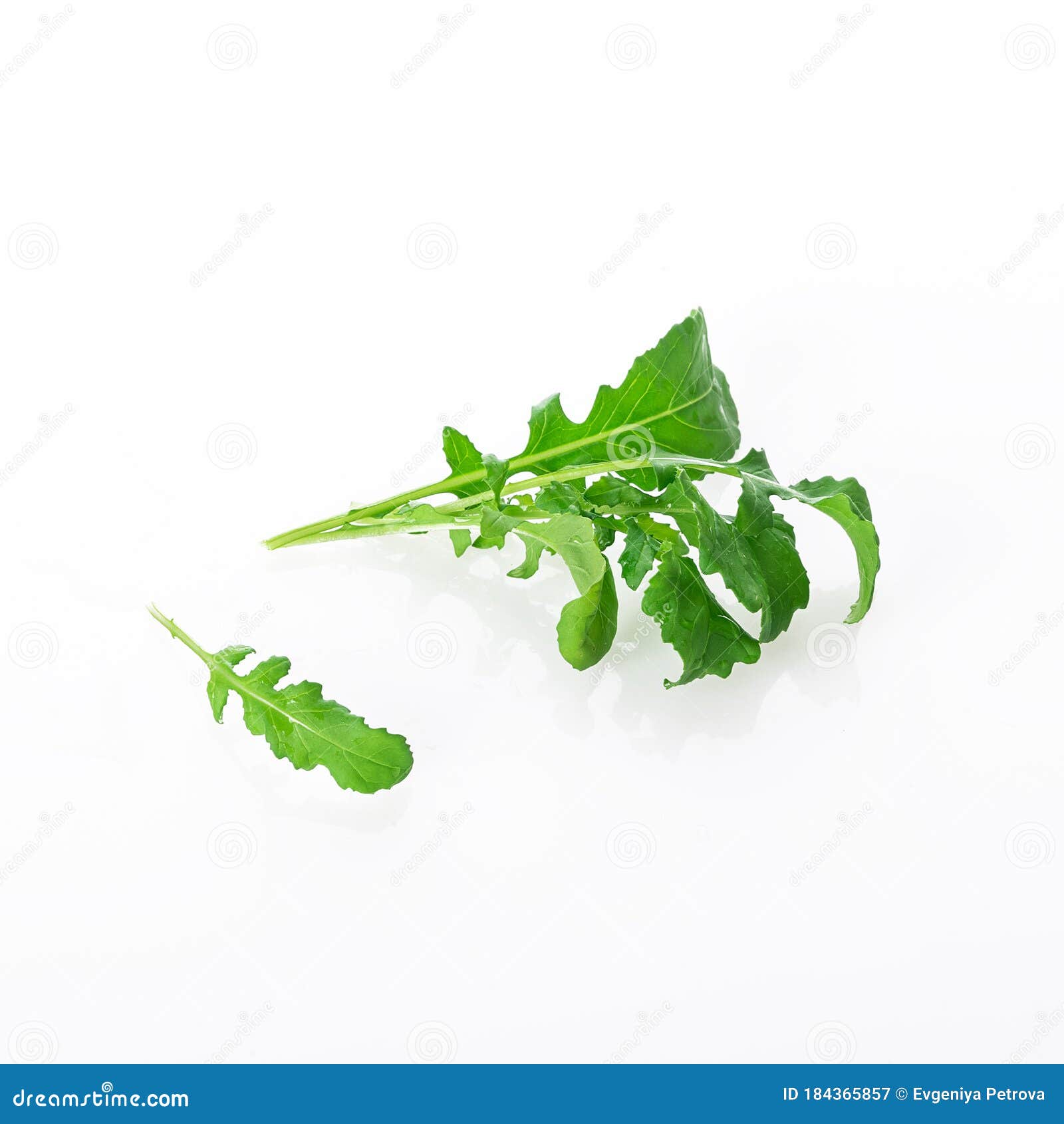 Fresh Arugula Leaf with Dew Drops Isolated on a White Background Stock ...