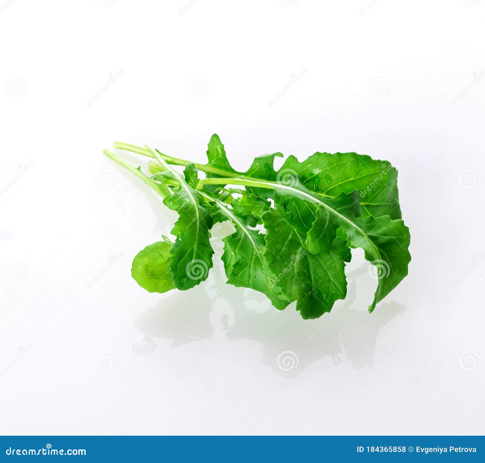 Fresh Arugula Leaf With Dew Drops Isolated On A White Background Stock ...