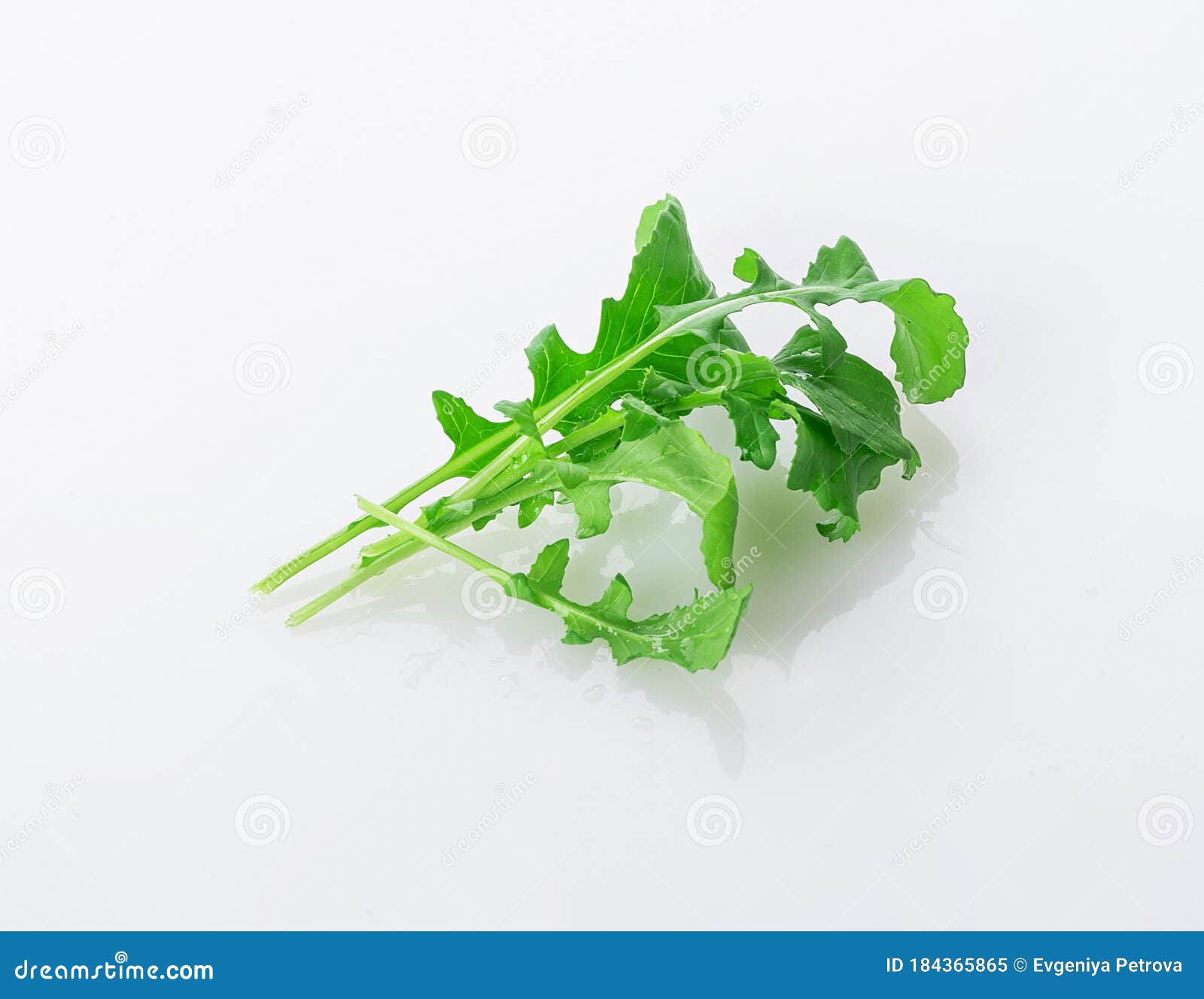 Fresh Arugula Leaf with Dew Drops Isolated on a White Background Stock ...