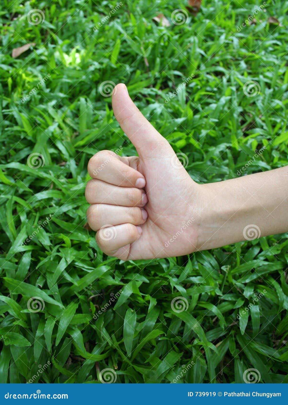 Very good! stock image. Image of ground, organs, great - 739919