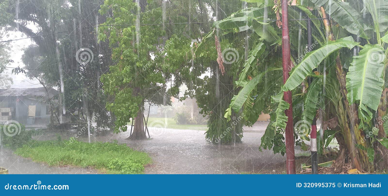 In Very Heavy Rain the Ground Began To Flood Stock Image - Image of ...