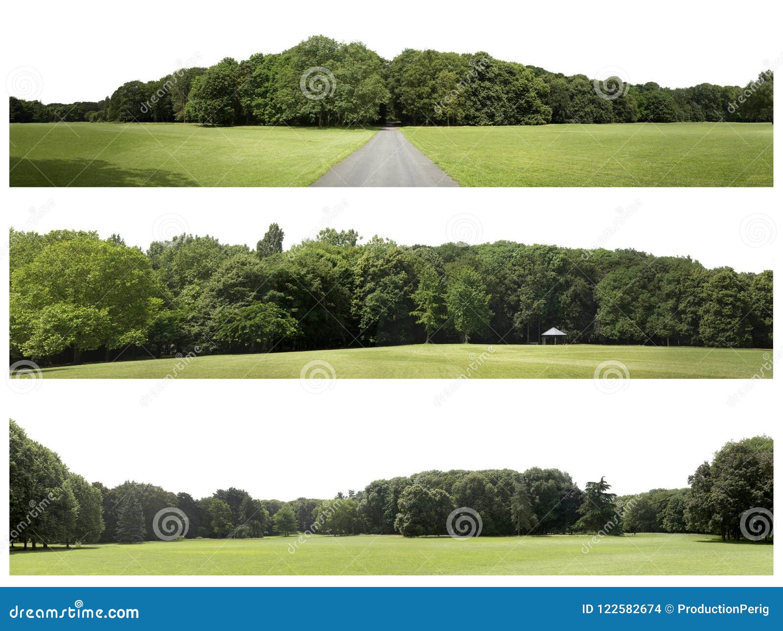 Very High Definition Treeline Isolaeted on a White Background Stock ...