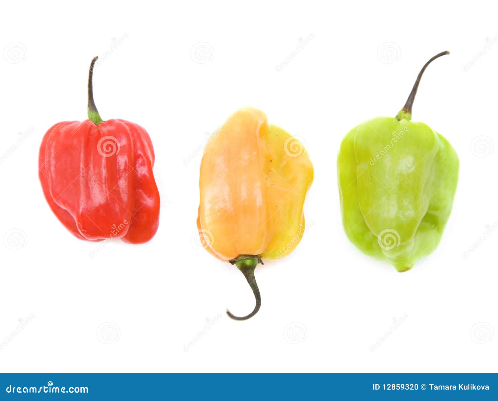 Very hot small peppers stock photo. Image of background - 12859320