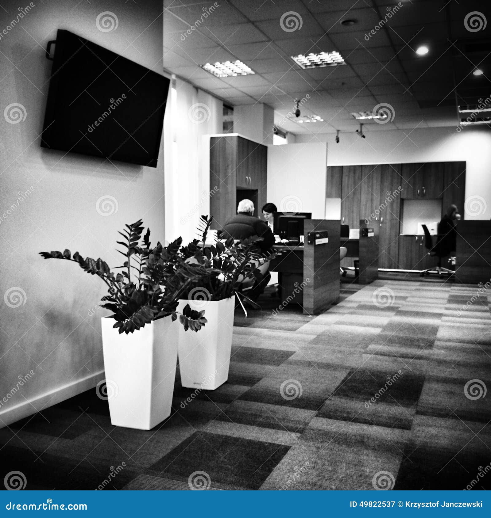 In a Very Important Office. Artistic Look in Black and White. Editorial ...